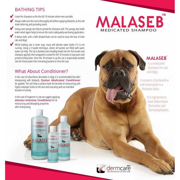 Dermcare Malaseb Medicated Shampoo 200ml-1L Aloveen Oatmeal Shampoo an ...